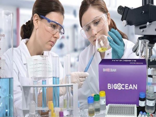 About Us - Bio-Ocean LLC